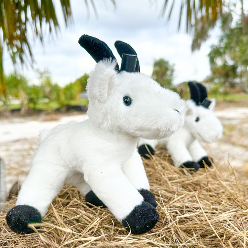 UGoatMail.com – Send an adorable plush goat with a hand-written note to ...